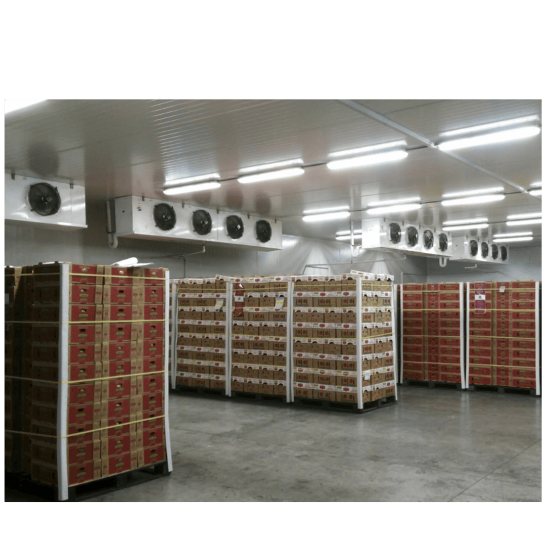 Almacenamiento y distribucion | gglobal.mx Almacenamiento y distribucion | gglobal.mx